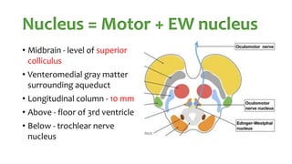 OCCULOMOTOR NERVE PALSY.pptx