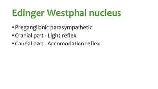 OCCULOMOTOR NERVE PALSY.pptx