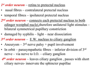 Occulomotor System tentang nervus cranial | PPT