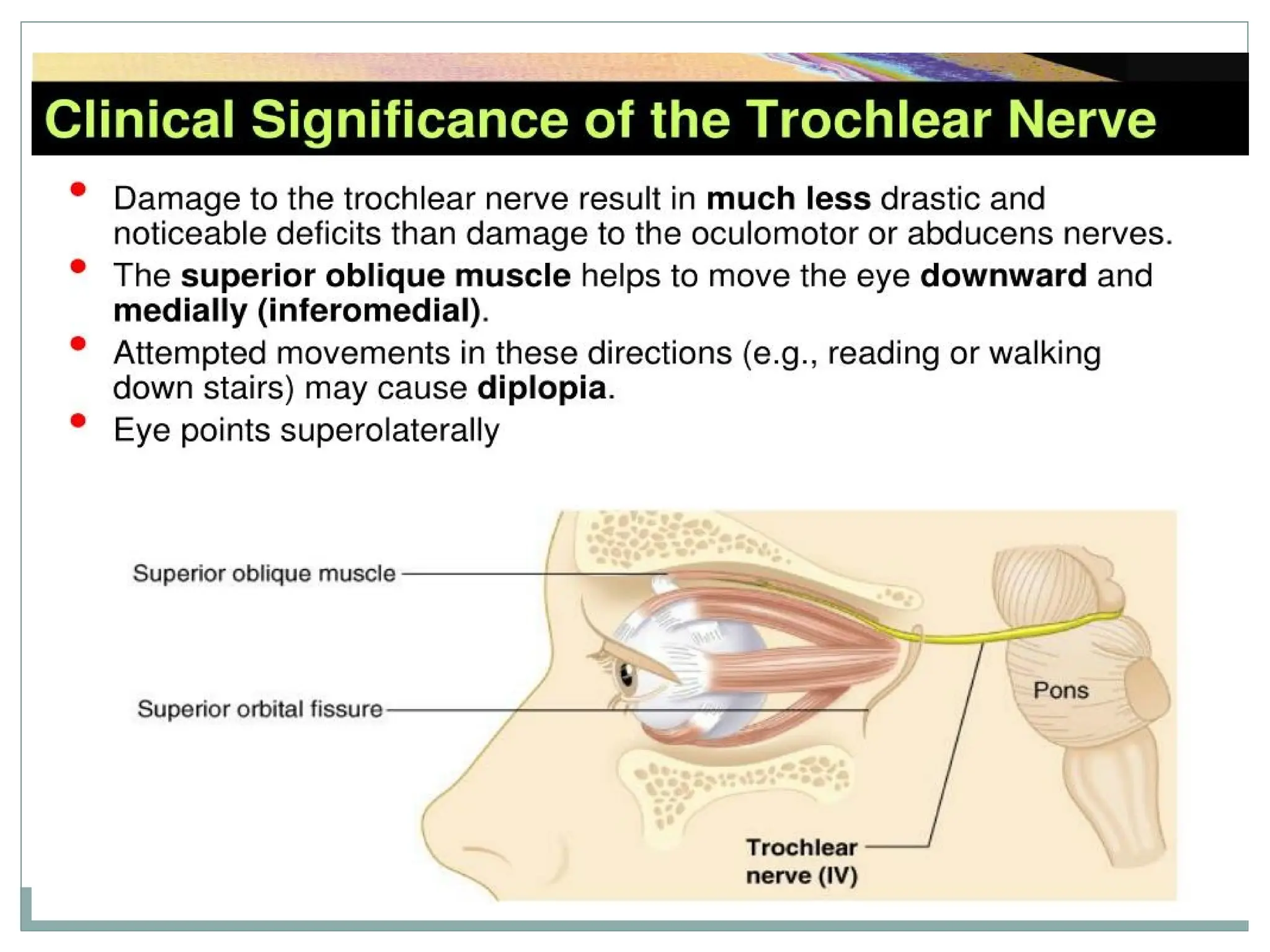 Occulomotor ,Trochlear and Abducens Nerve.pptx