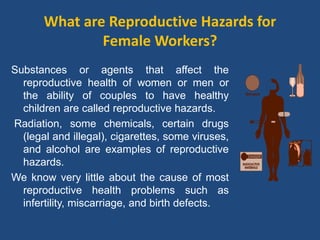 Occupational Hazards that Impacts on Reproductive Health | PPTX