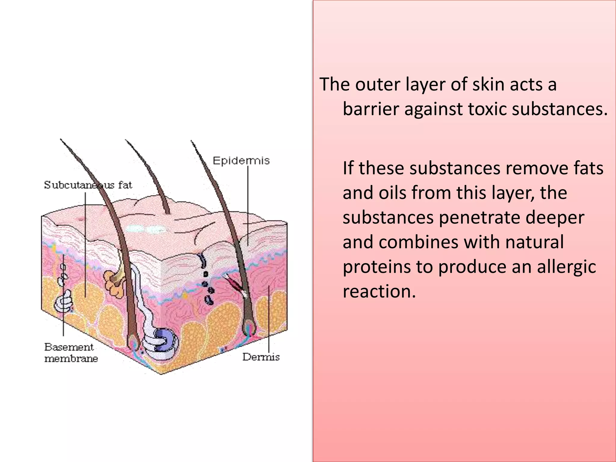 Occupational dermatitis by dr. imtiyaz | PPTX