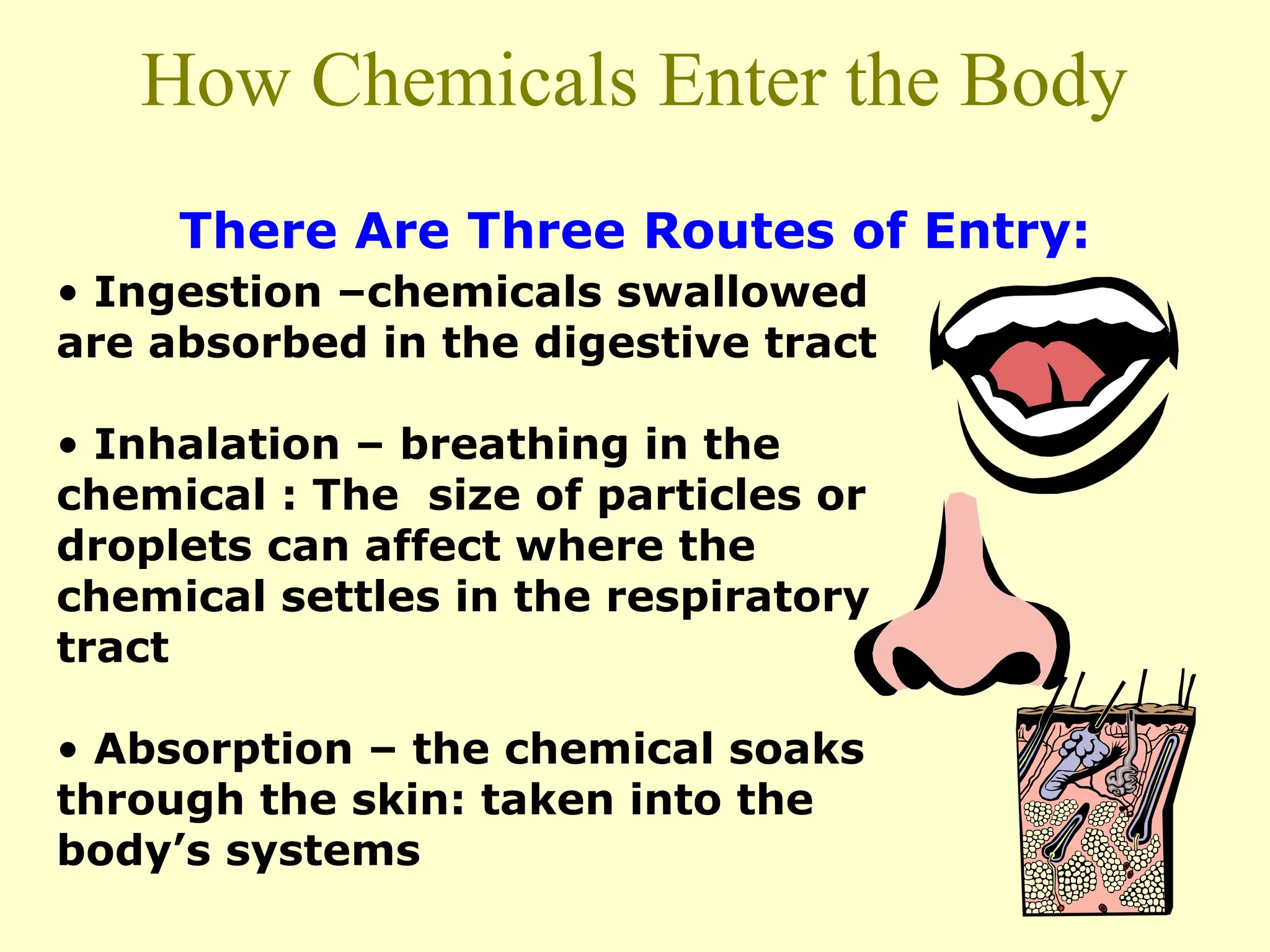 Occupational hazards and chemical handling..ppt