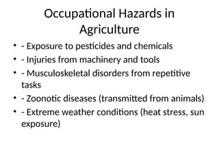 Occupational_Hazards_in_the_Workplace.pptx