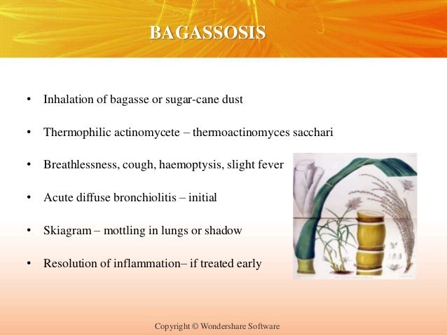 Occupational health