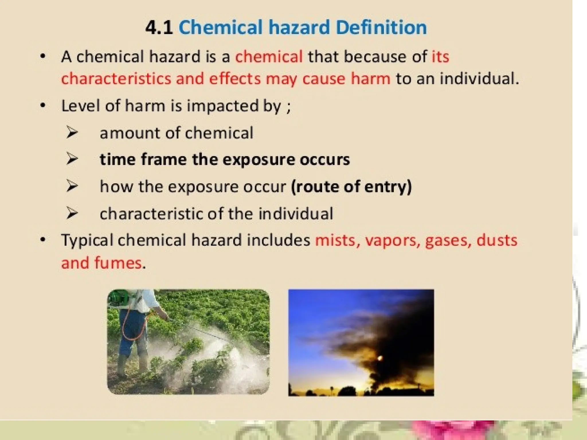 OCCUPATIONAL HEALTH HAZARDS-PPT- GRACE.pptx