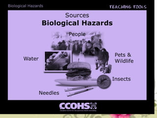 OCCUPATIONAL HEALTH HAZARDS-PPT- GRACE.pptx