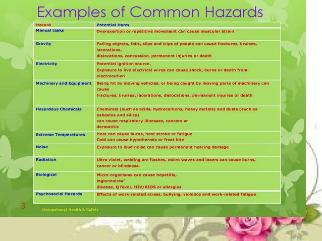 OCCUPATIONAL HEALTH HAZARDS-PPT- GRACE.pptx
