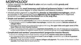 OCCUPATIONALLUNGDISEASE AND ITS VARIANTS | PPT