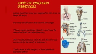 Occupational Lung Diseases | PPTX
