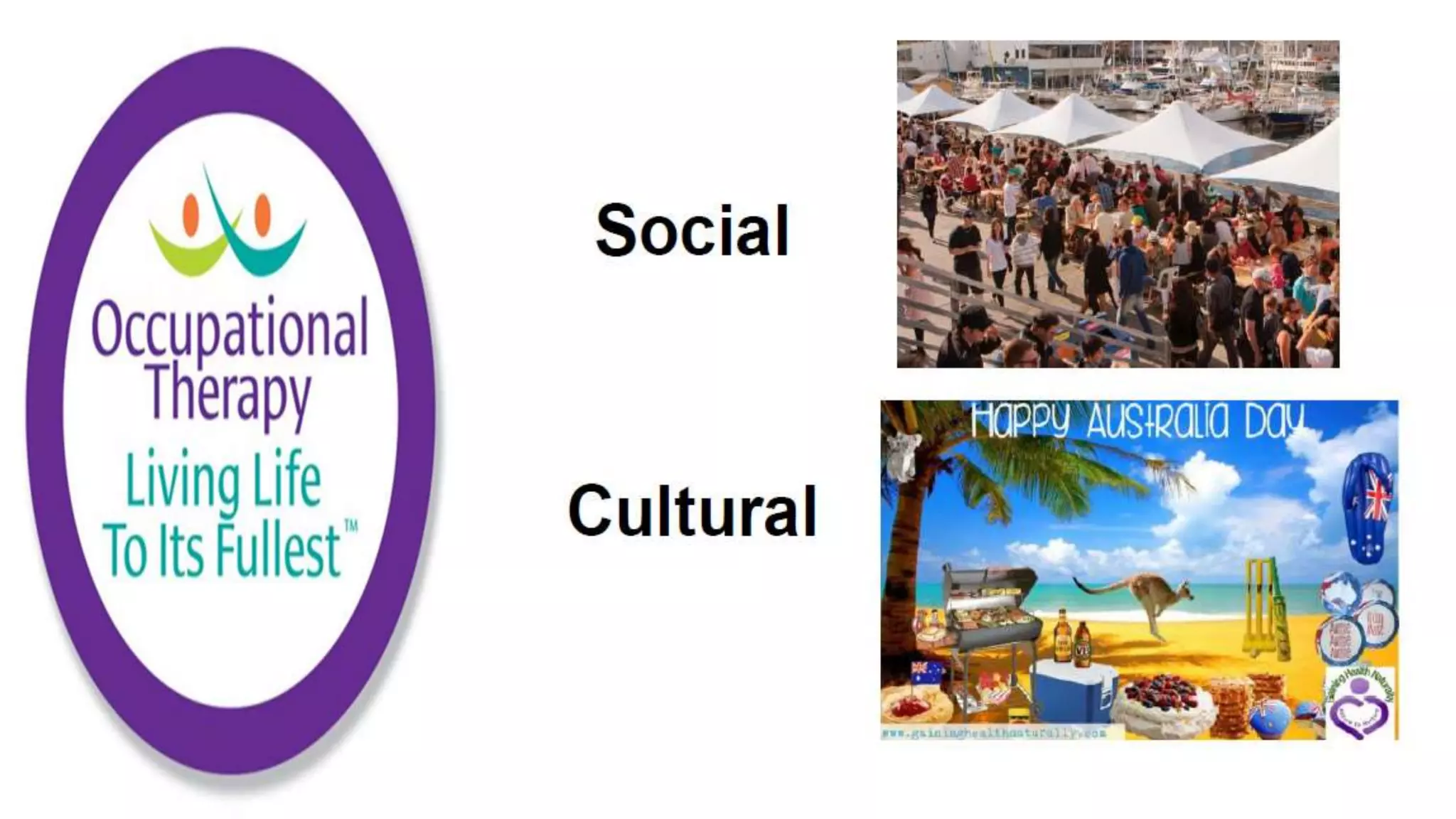 Occupational Performance Model Australia Construct and Structure | PPTX