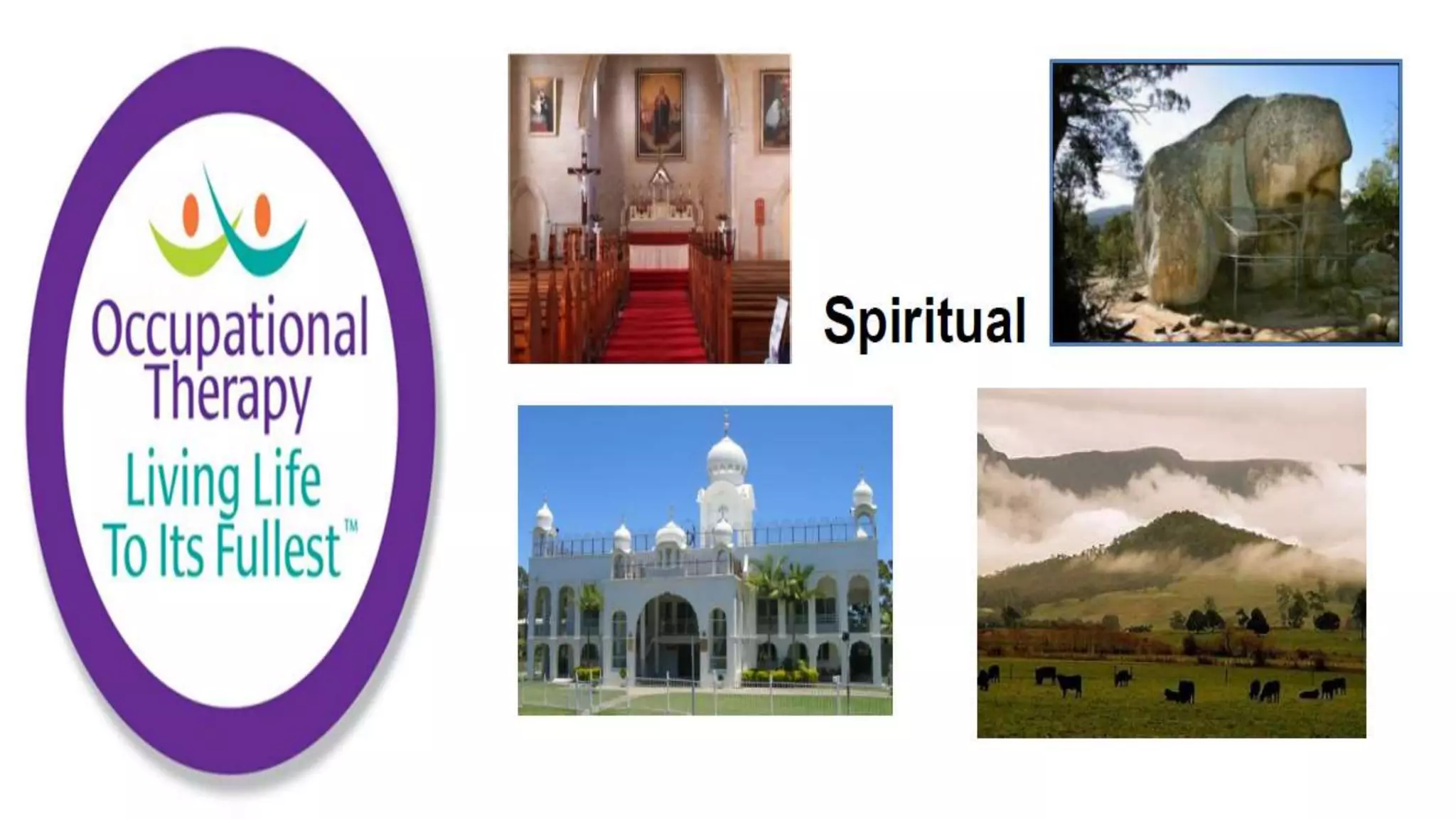 Occupational Performance Model Australia Construct and Structure | PPTX