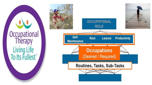Occupational Performance Model Australia Construct and Structure | PPTX