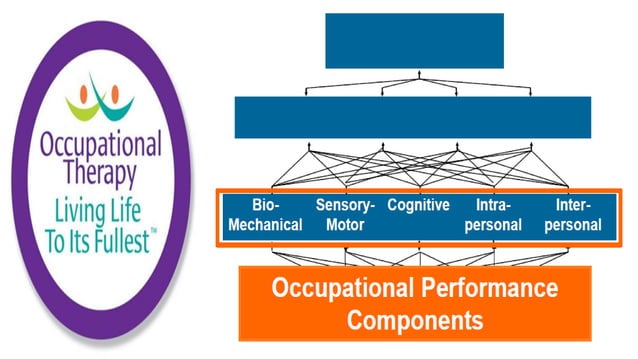 Occupational Performance Model Australia Construct and Structure | PPTX