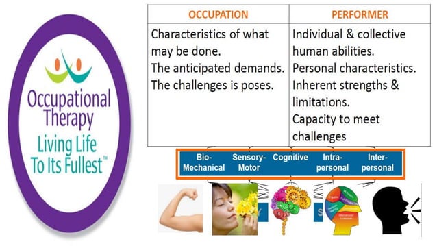 Occupational Performance Model Australia Construct and Structure | PPTX
