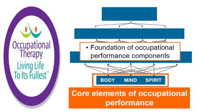 Occupational Performance Model Australia Construct and Structure | PPTX
