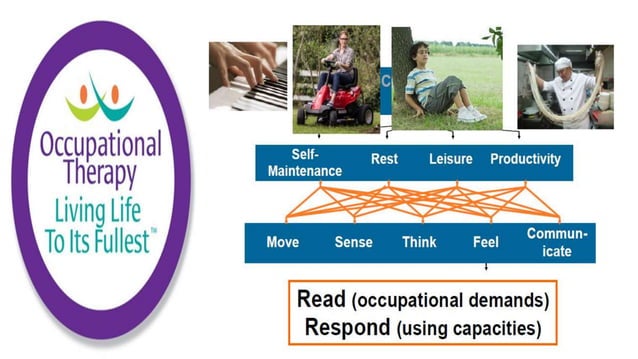 Occupational Performance Model Australia Construct and Structure | PPTX