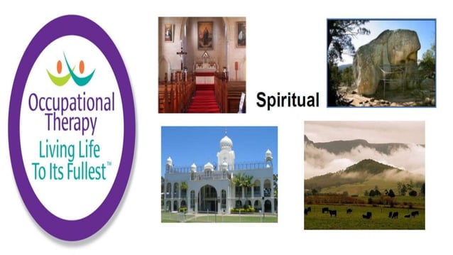 Occupational Performance Model Australia Construct and Structure | PPTX