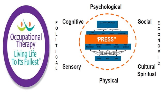Occupational Performance Model Australia Construct and Structure | PPTX
