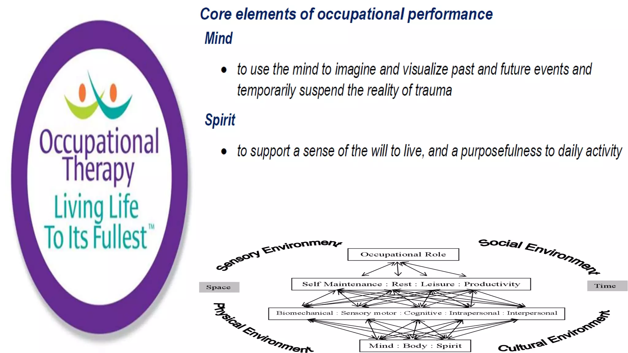 Occupational Performance Model Australia in Practice | PPTX