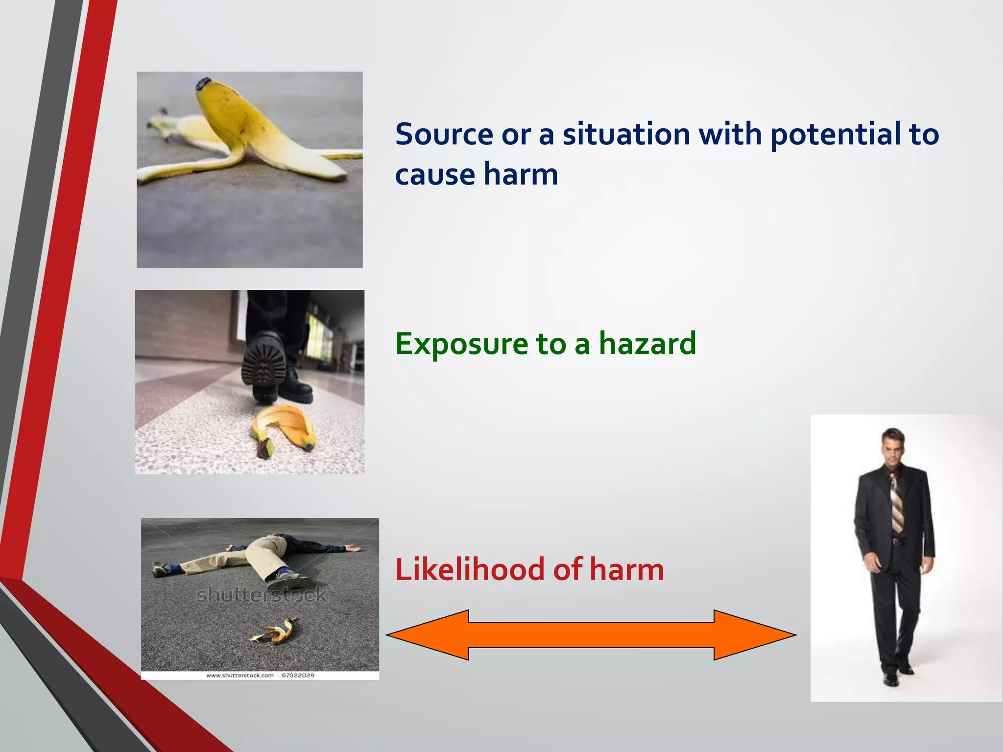 Occupational health and safety (OHS) | PDF