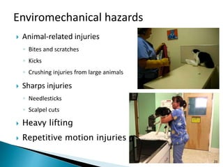 Occupational Safety and Health in Veterinary Medicine and Animal Care | PPT