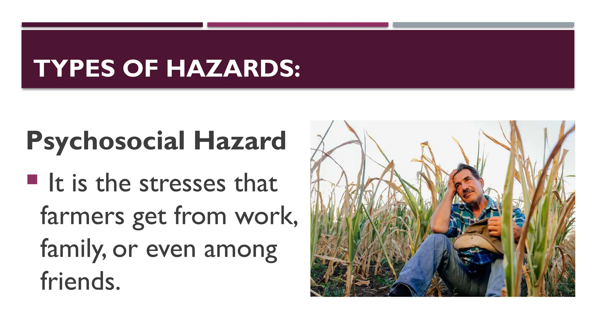 Occupational Safety Measures in The Farm.pptx