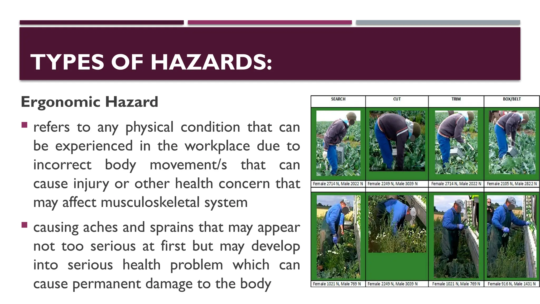 Occupational Safety Measures in The Farm.pptx