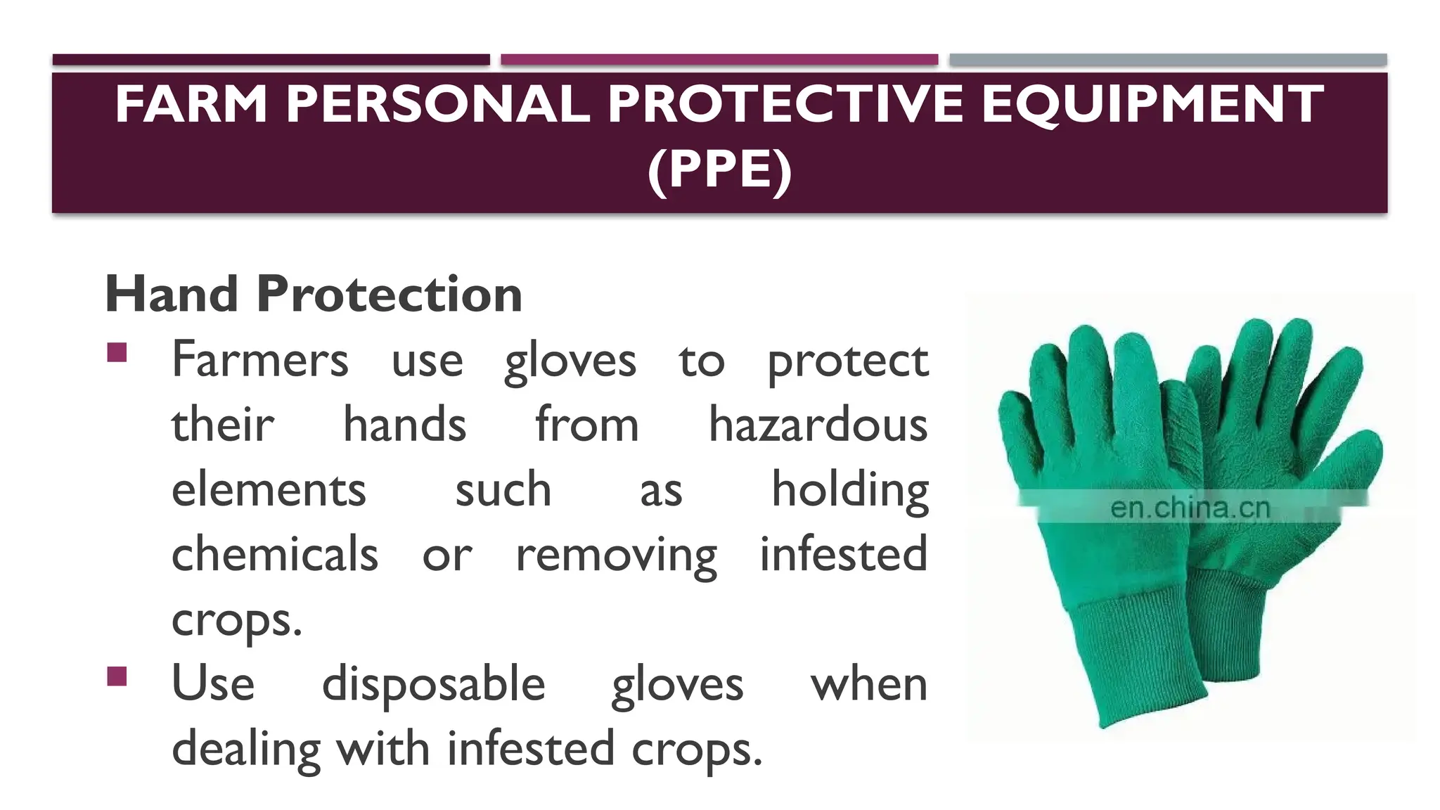 Occupational Safety Measures in The Farm.pptx