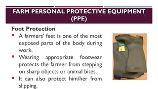 Occupational Safety Measures in The Farm.pptx