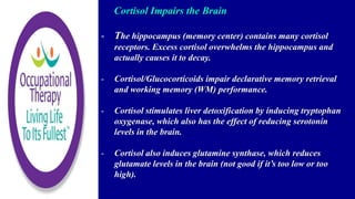 Occupational Therapy Cortisol & Stress | PPTX