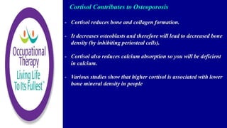 Occupational Therapy Cortisol & Stress | PPTX