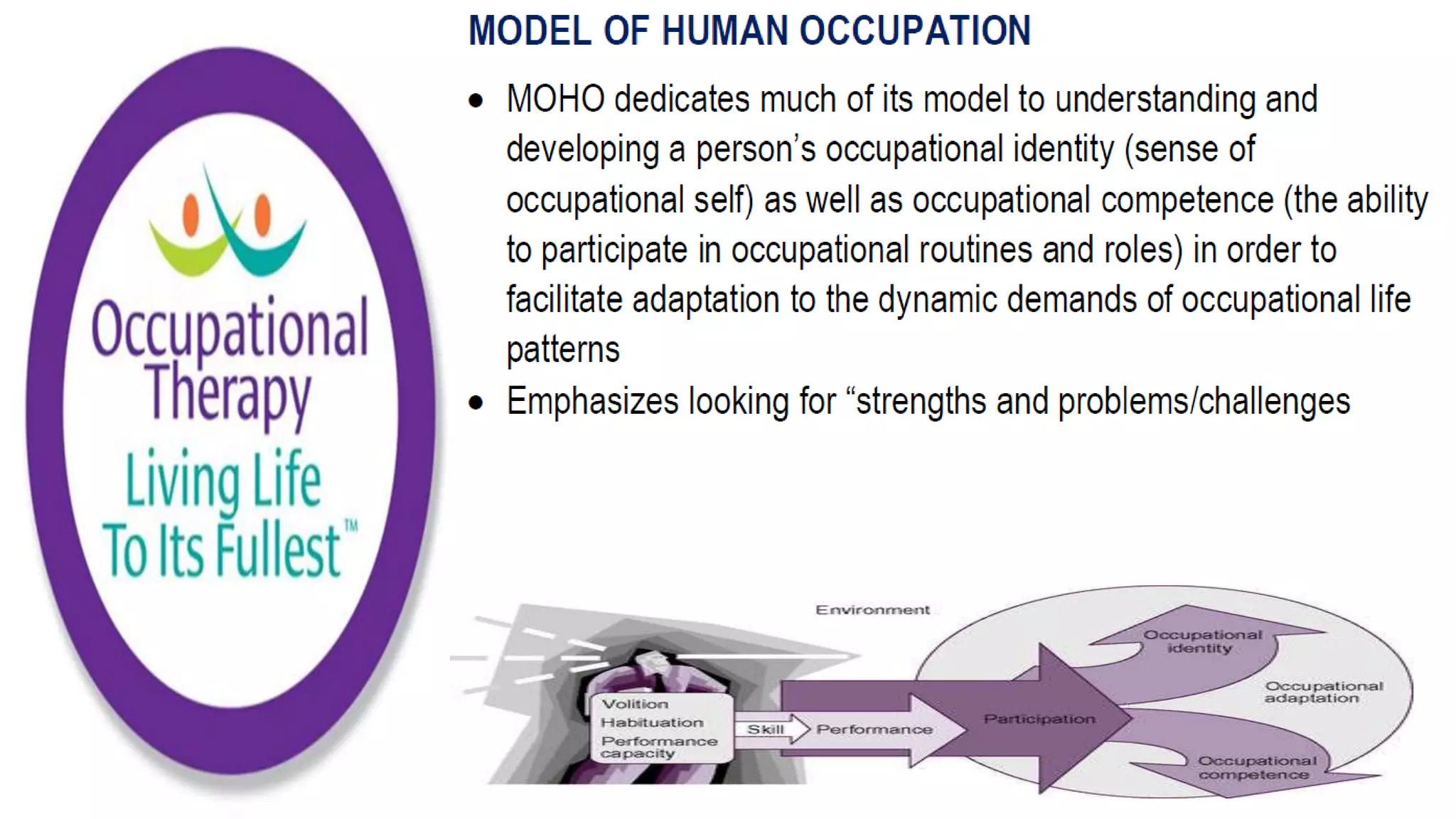 Occupational Therapy Model part 2 Compare and Contrast OPM(A),MOHO,KAWA ...