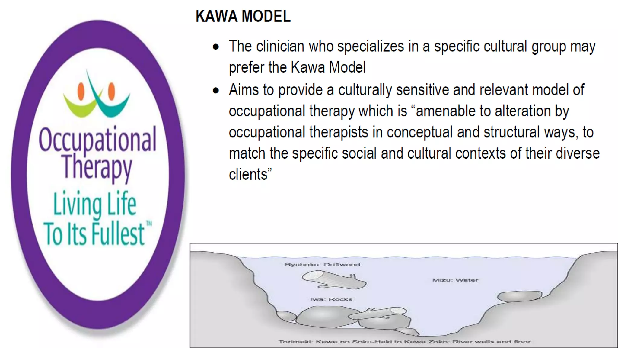 Occupational Therapy Model part 2 Compare and Contrast OPM(A),MOHO,KAWA ...