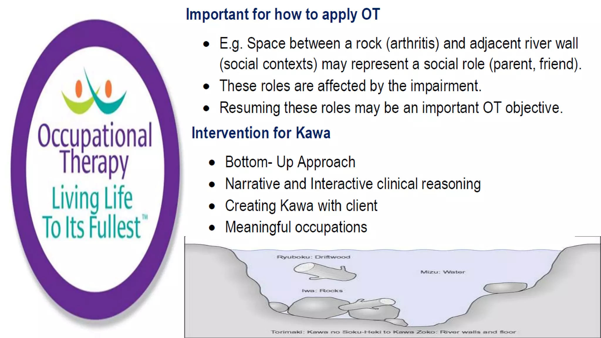 Occupational Therapy Model part 2 Compare and Contrast OPM(A),MOHO,KAWA ...