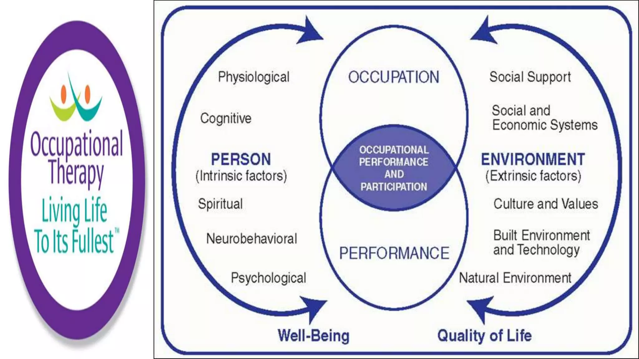 Occupational Therapy Models | PPTX