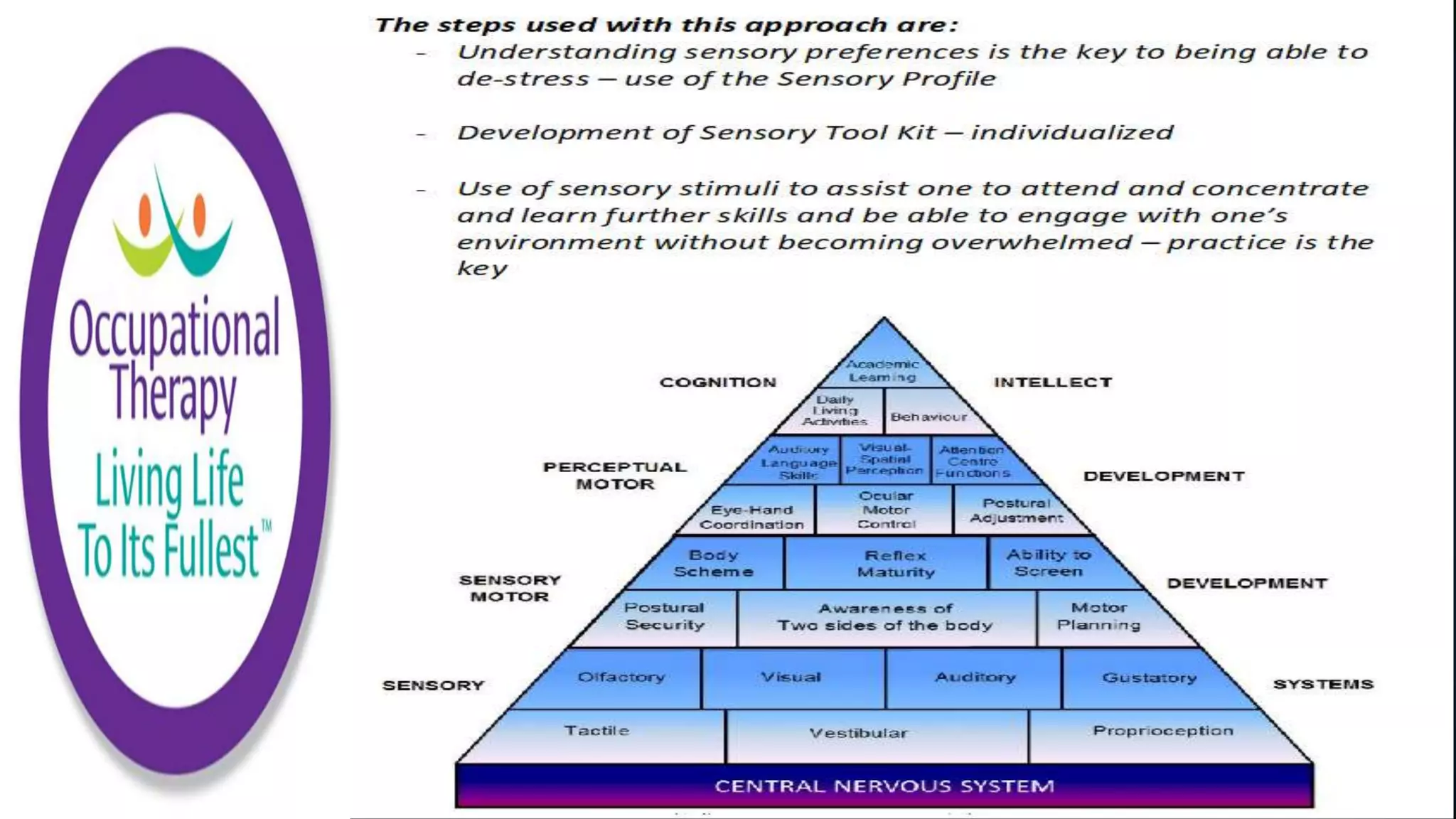 Occupational Therapy Models | PPTX