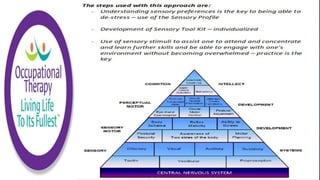 Occupational Therapy Models | PPTX
