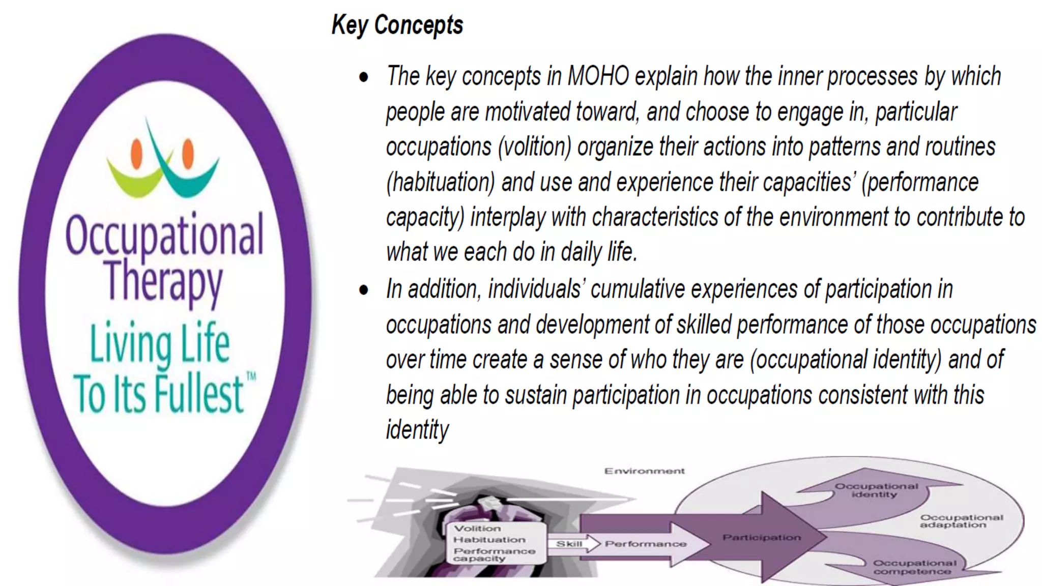 Occupational therapy Theory and Practice the Model of Human ...