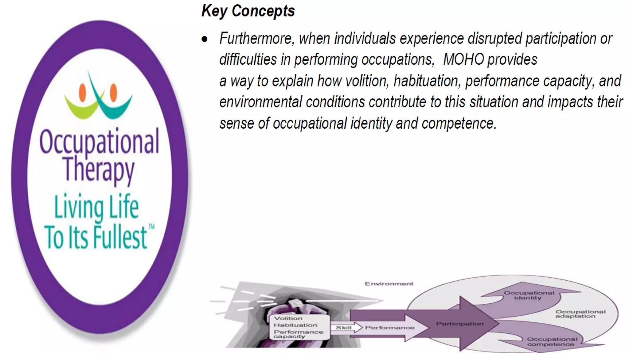 Occupational therapy Theory and Practice the Model of Human ...