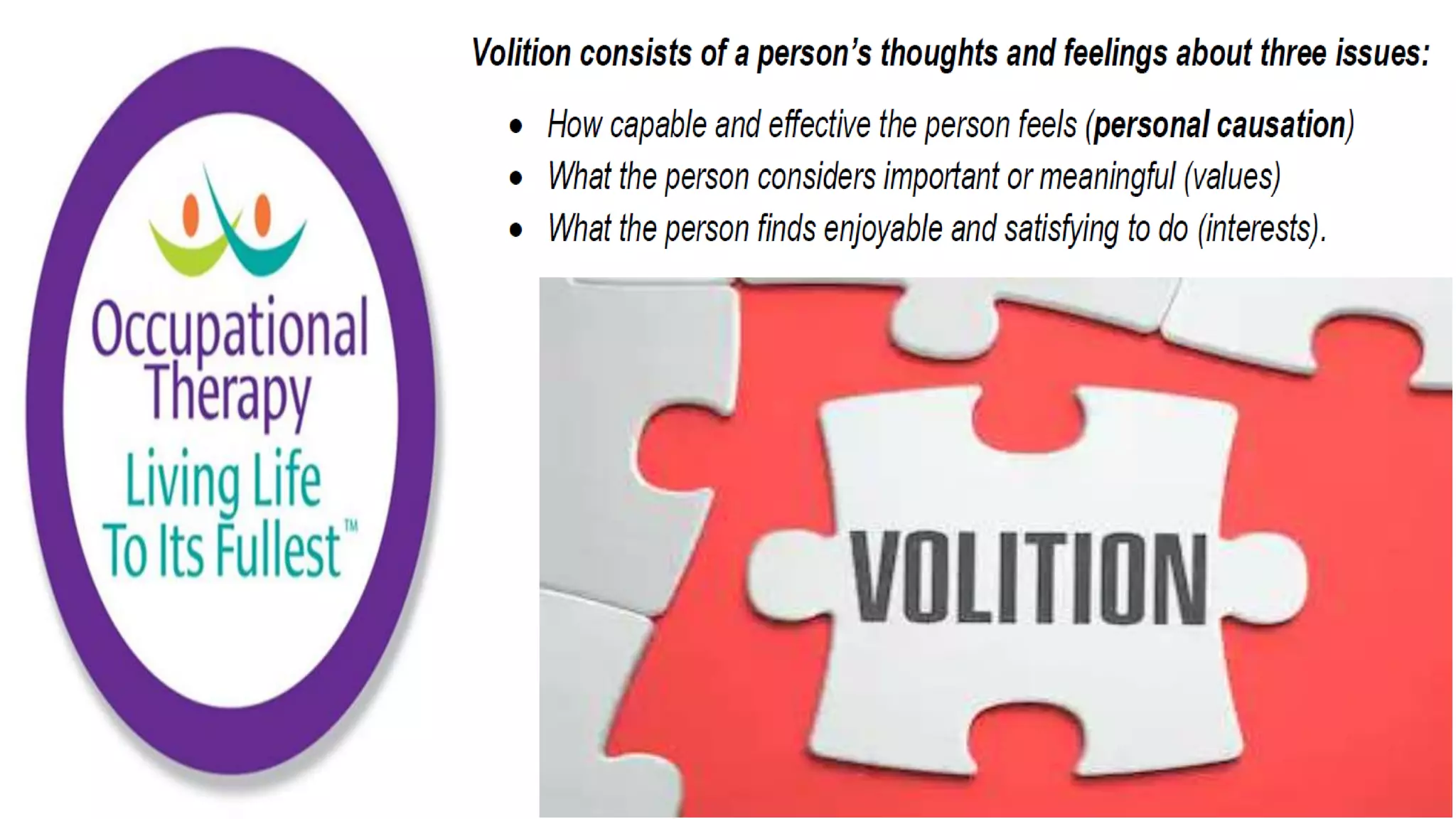 Occupational therapy Theory and Practice the Model of Human ...