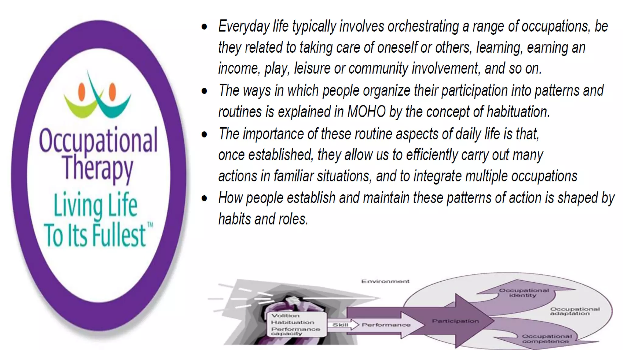 Occupational therapy Theory and Practice the Model of Human ...
