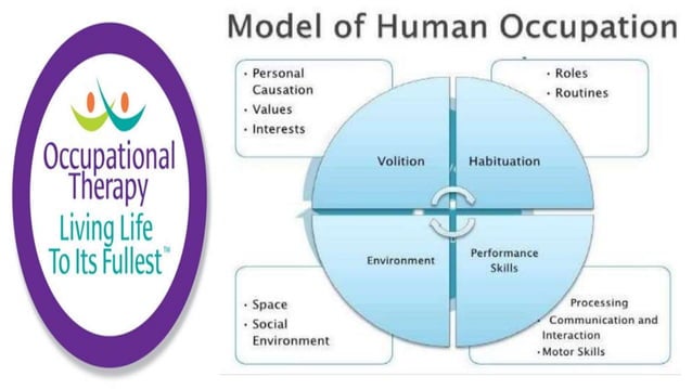 Occupational therapy Theory and Practice the Model of Human Occupational Occupation part 1 | PPTX