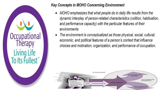 Occupational therapy Theory and Practice the Model of Human ...