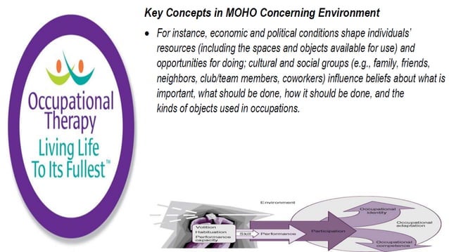 Occupational therapy Theory and Practice the Model of Human ...