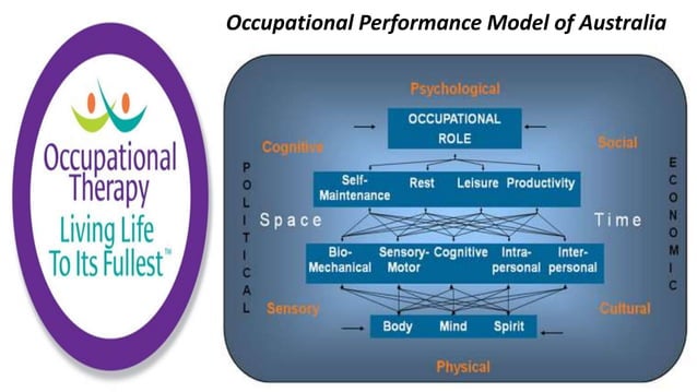 Occupational Therapy Theory, Models, Reference and Practice | PPTX