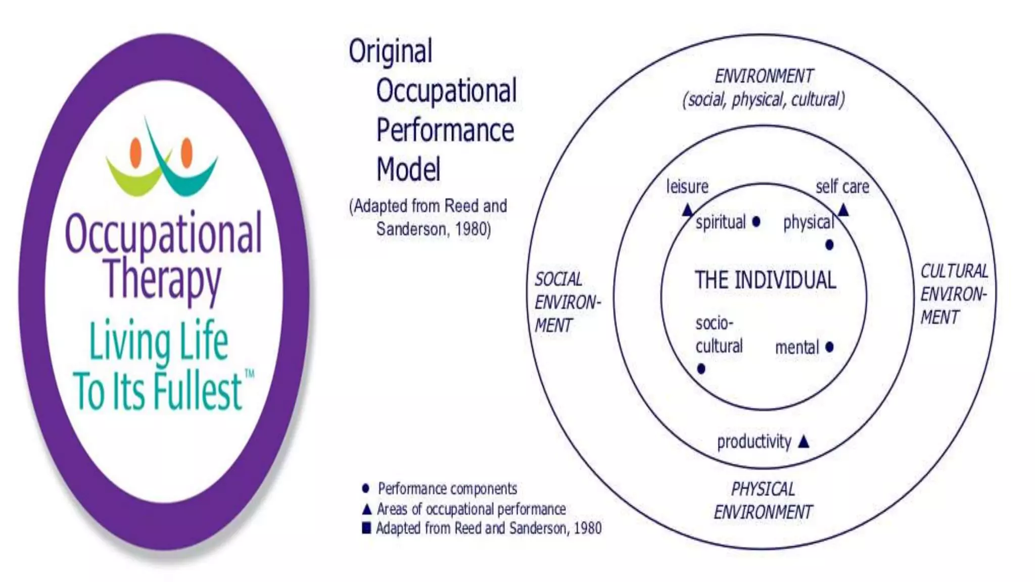 Occupational Therapy Theory & Practice Canadian Model of Occupational Performance and Engagement ...