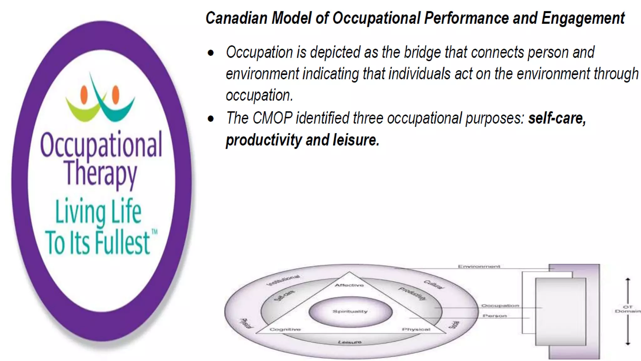 Occupational Therapy Theory & Practice Canadian Model of Occupational ...