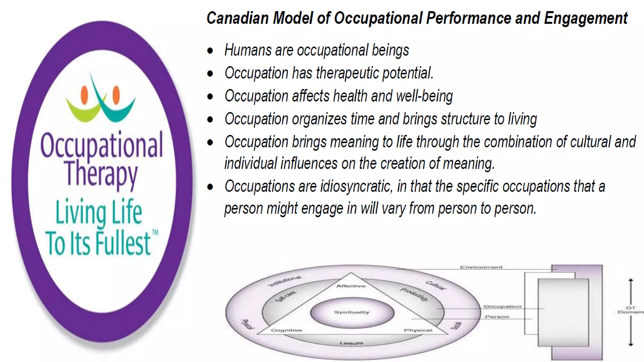 Occupational Therapy Theory & Practice Canadian Model of Occupational Performance and Engagement ...