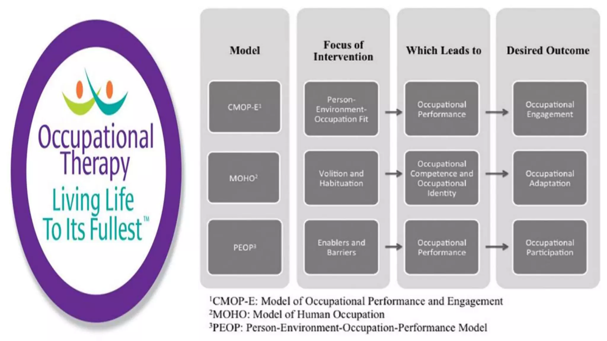 Occupational Therapy Theory & Practice Canadian Model of Occupational ...
